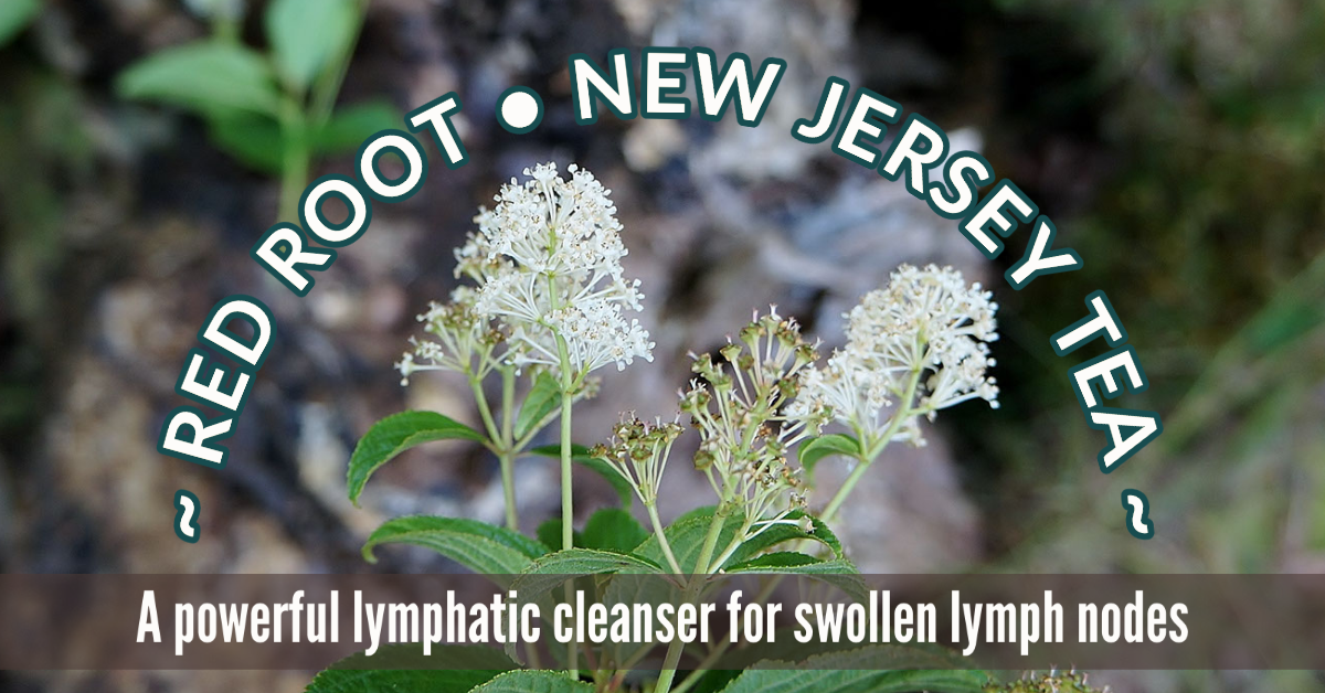 AIDS, Answers and New Jersey Tea - Article - Stevenhorne.com