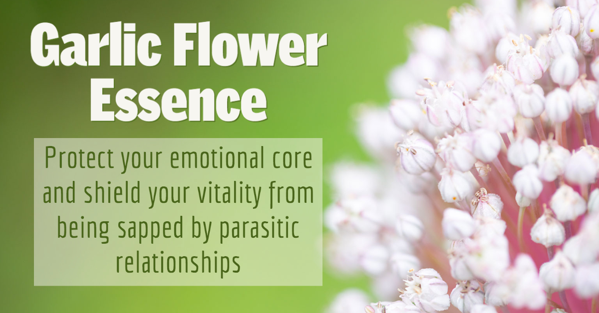 Garlic: Nature's Penicillin - Article - Stevenhorne.com