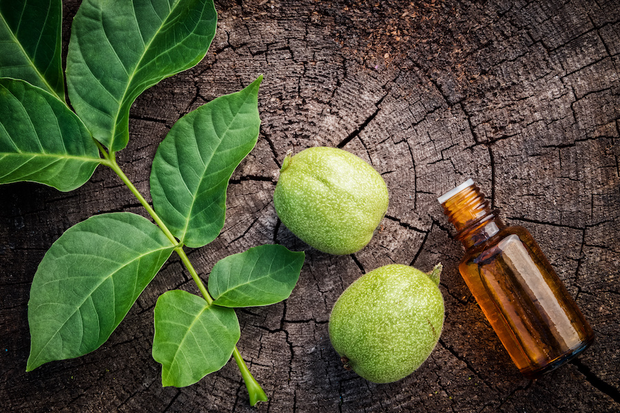 Black Walnut - Article - Stevenhorne.com