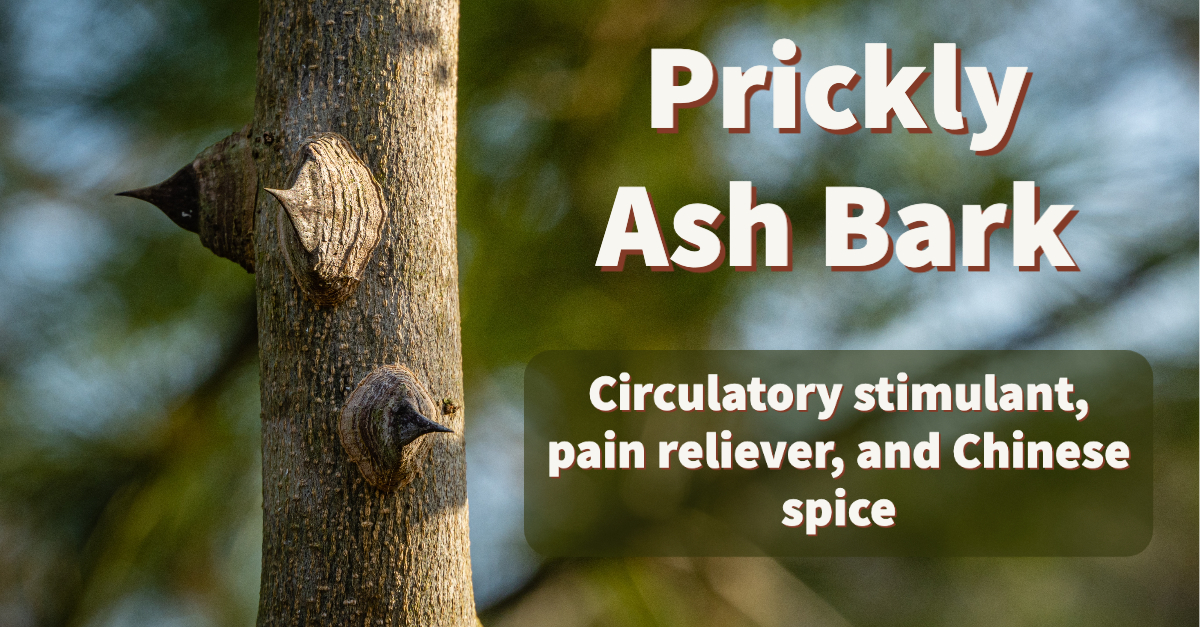 Prickly Ash - Article - Stevenhorne.com