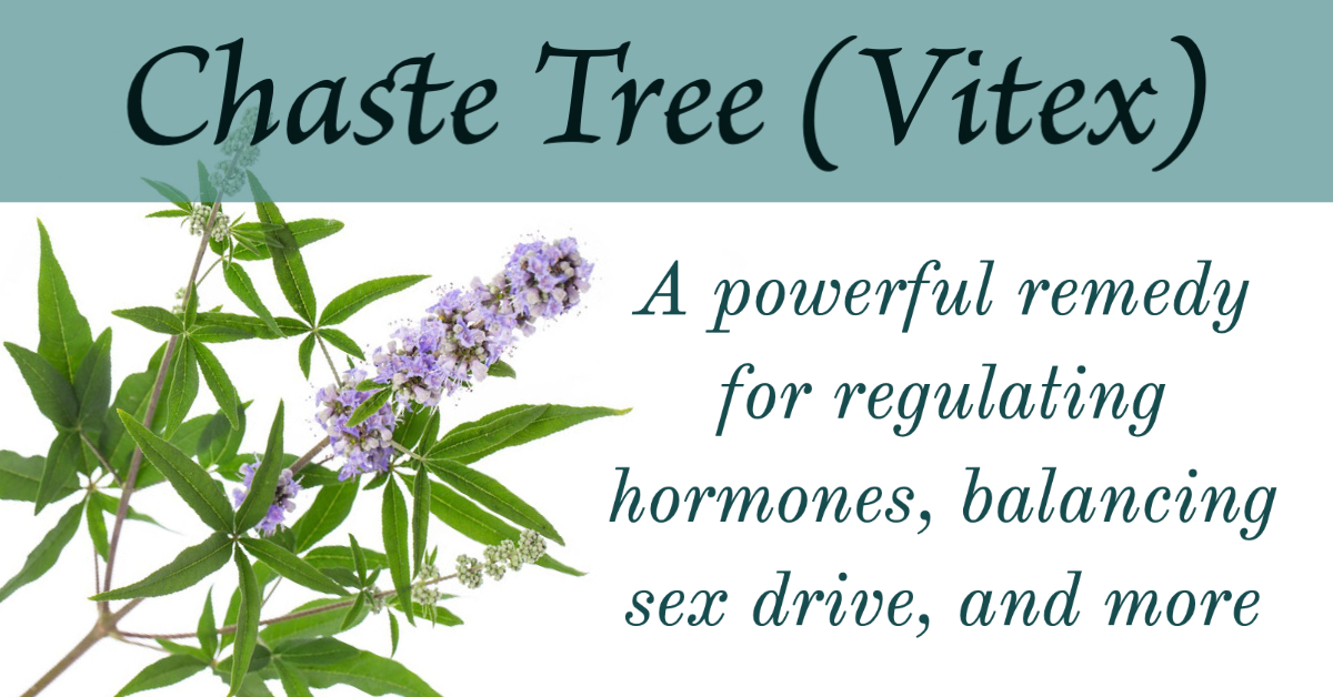 Chaste Tree (Vitex) - Article - Stevenhorne.com
