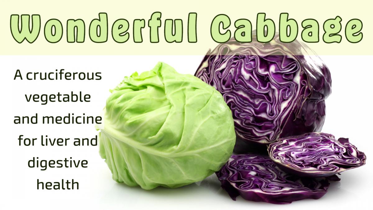 Wonderful Cabbage - Article - Stevenhorne.com