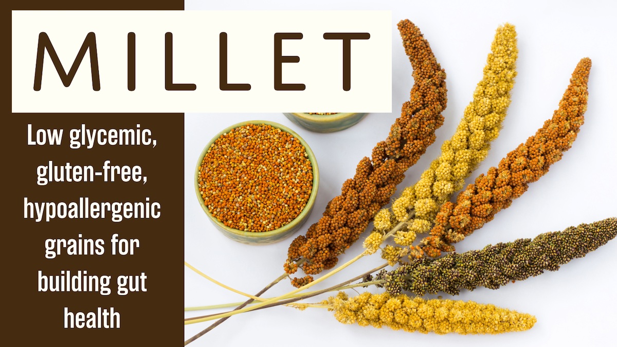 Millet - Article - Stevenhorne.com