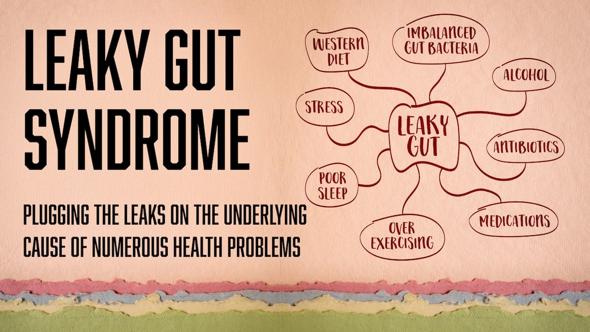 Leaky Gut Syndrome - Article - Stevenhorne.com