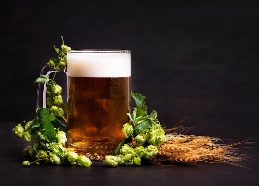 Beyond Beer: The Sedating Power of Hops - Article - Stevenhorne.com